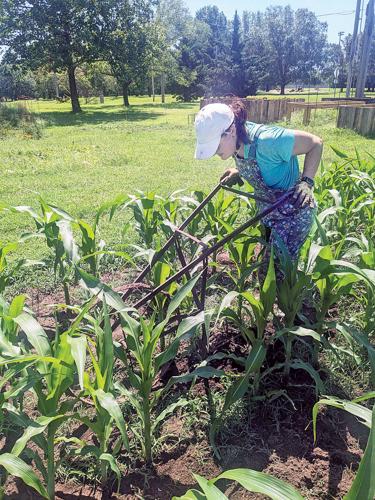 Local church hoping to give back through community garden | Zoom ...
