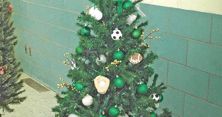 You could win this tree | Derby News | derbyinformer.com