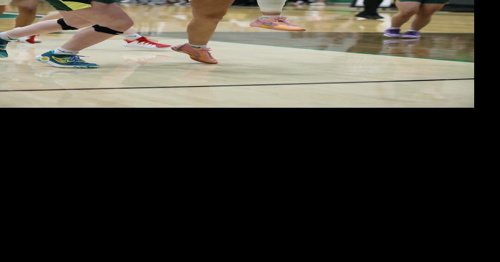 Lady Panthers use defense to win home opener | Derby Sports ...