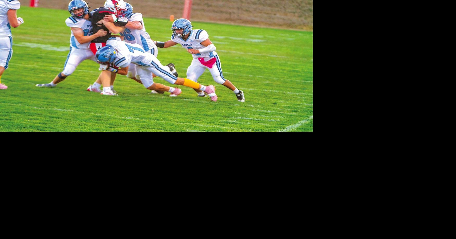 Nine Rebels honored on 2A all-district team | Sports | dewittobserver.com