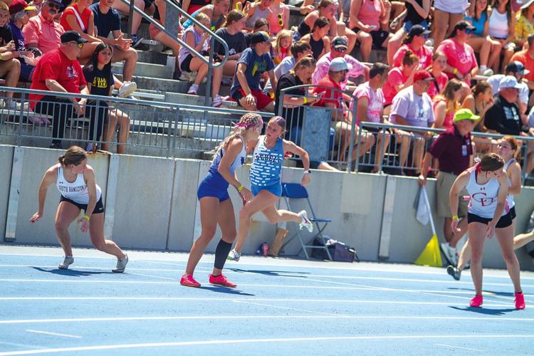 Tegeler earns state medal in 400 | Sports | dewittobserver.com