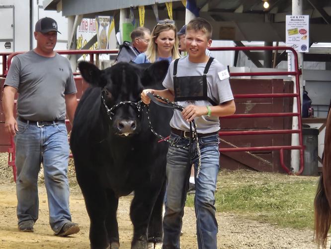 A busy week | Local News | dewittobserver.com