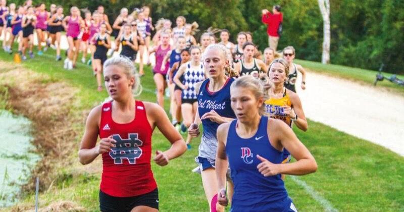 Steines leads the way at Jim Hetrick Invite | Sports | dewittobserver.com