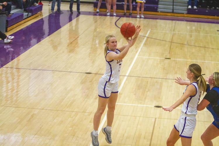 Sabers down Clippers for state return | Sports | dewittobserver.com