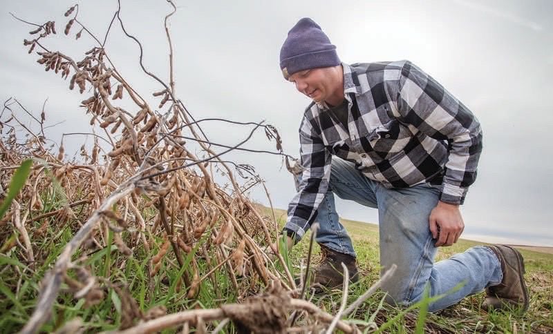 Nurturing the land | Local News | dewittobserver.com