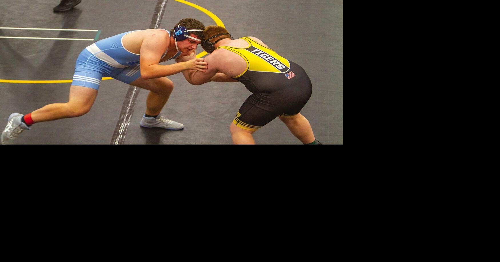 Shannon earns runner-up finish, spot in 1A state field | Sports ...
