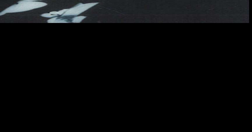 Catherine J. Raftery | Obituaries | dewittobserver.com