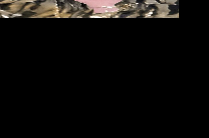 Obituaries | dewittobserver.com