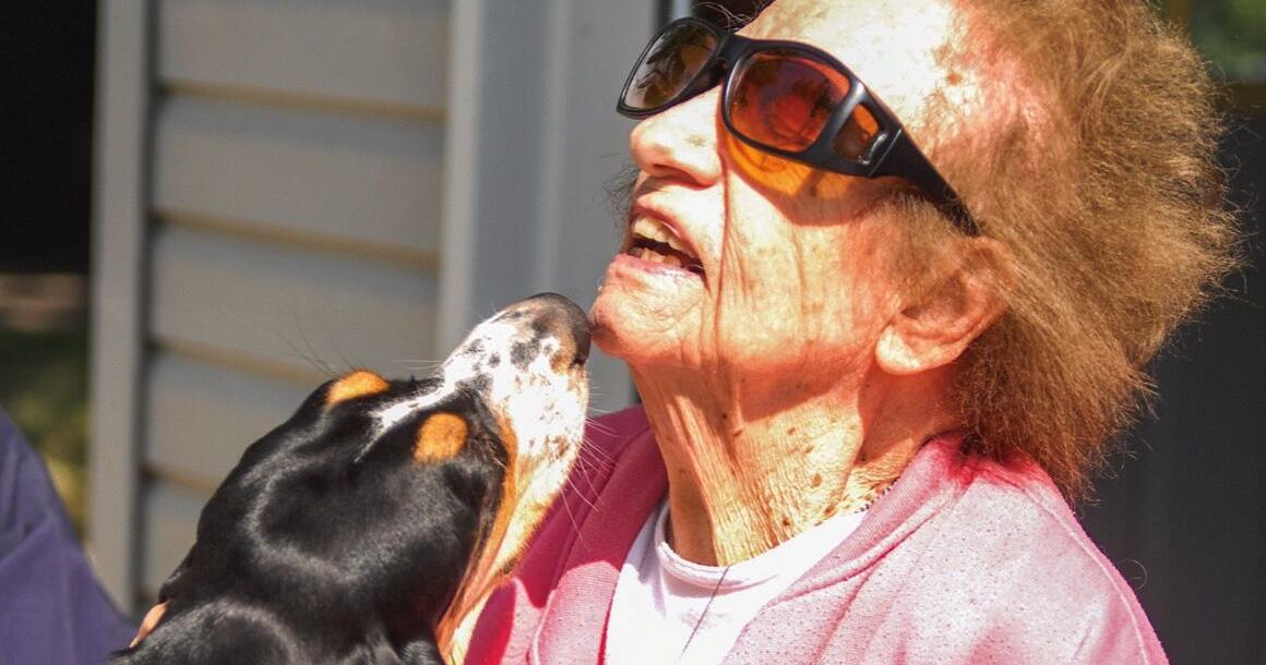 A pooch smooch | Local News | dewittobserver.com