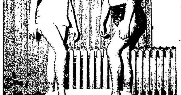 Fund to help DeWitt community pool | Local News | dewittobserver.com