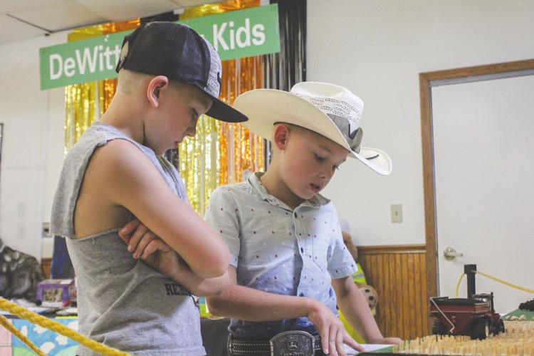 The greatest little fair | Local News | dewittobserver.com