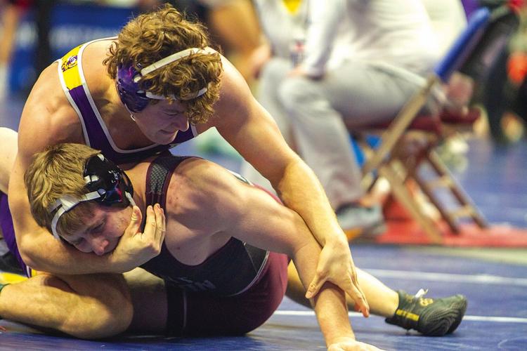 Triumph on the mat | Local News | dewittobserver.com