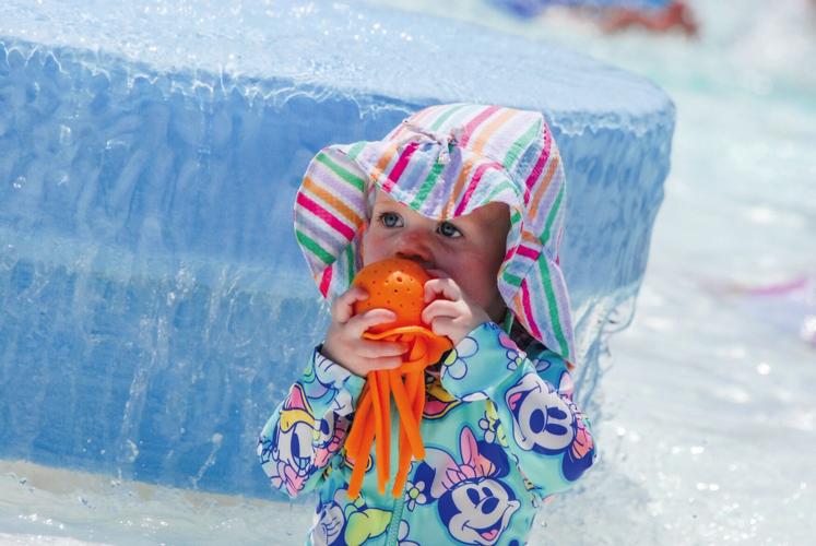 Dive into Summer | Local News | dewittobserver.com