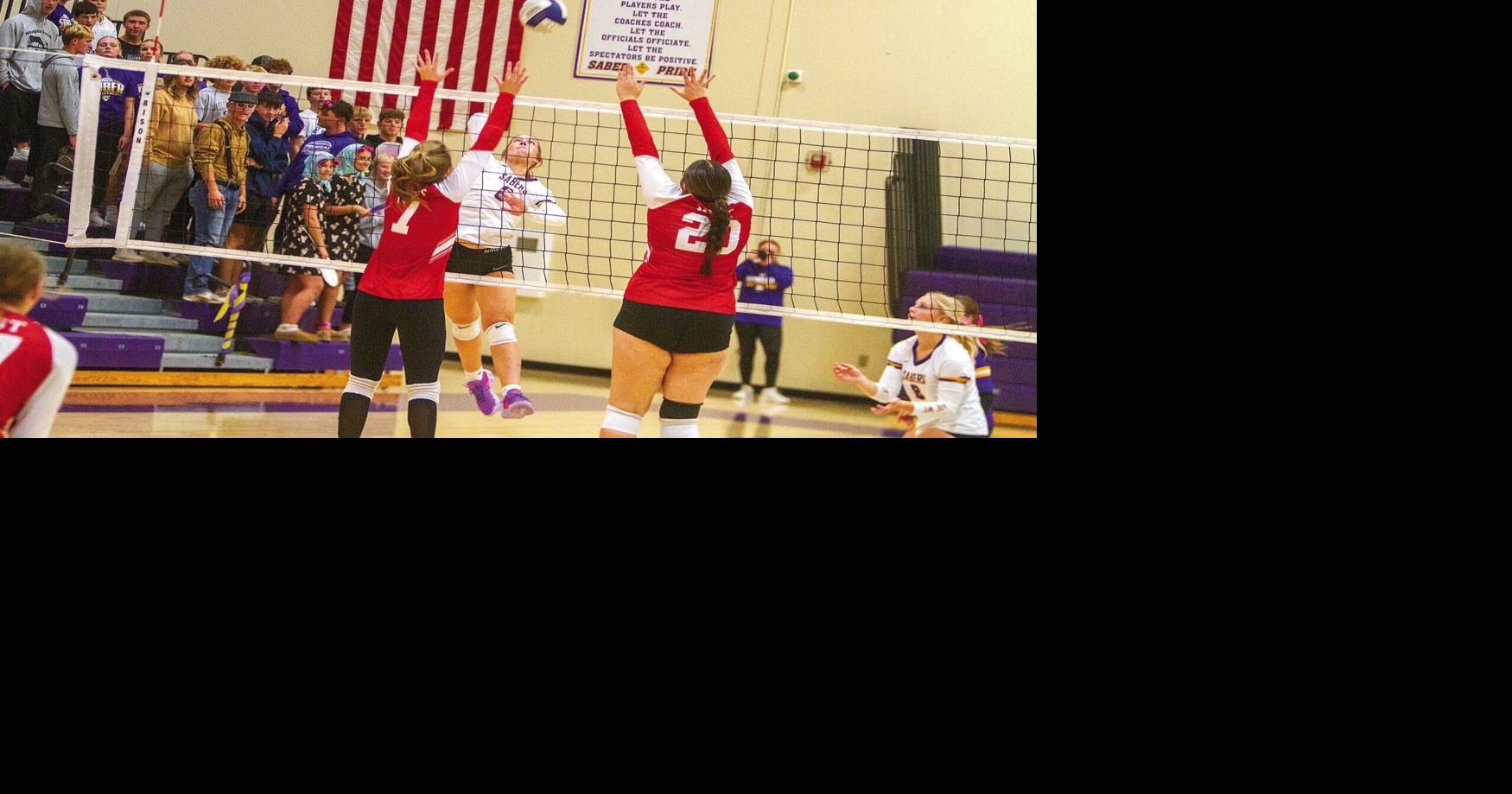 Sabers take close first set, sweep Falcons | Sports | dewittobserver.com