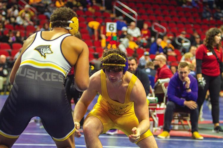 Triumph on the mat | Local News | dewittobserver.com