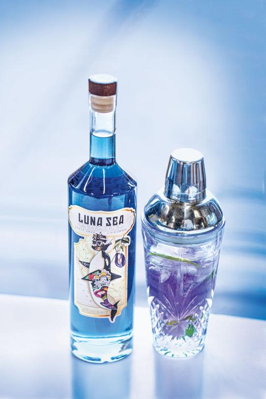 Lounge Act: Luna Sea in Walnut Creek | Food News | diablomag.com