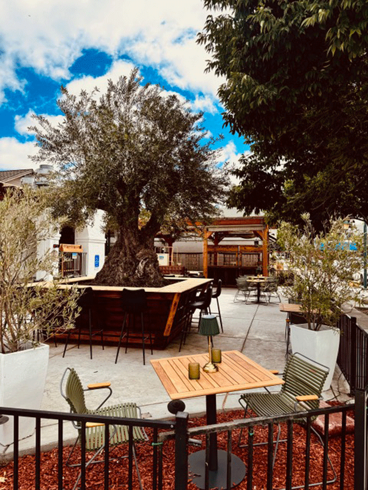 Diablo Dish: Duchess Comes into Focus in Pleasanton | Diablo Dish ...