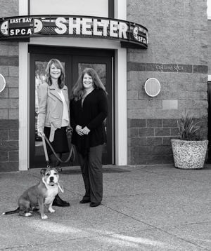 Allison Lindquist - East Bay SPCA | Faces of the East Bay | diablomag.com