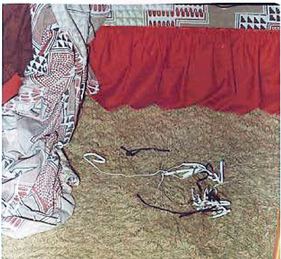 Chasing Evil | People | diablomag.com