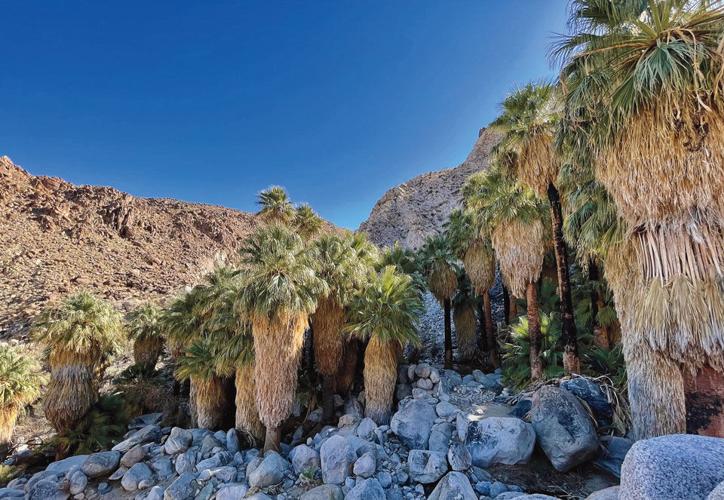 One Fine Weekend in Joshua Tree | Quick Trips | diablomag.com