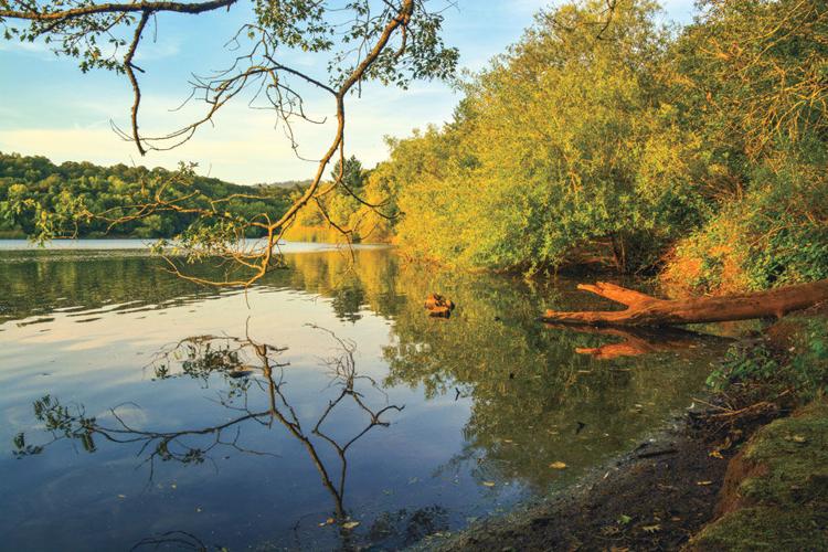 One With Nature in Wine Country | Getaways | diablomag.com