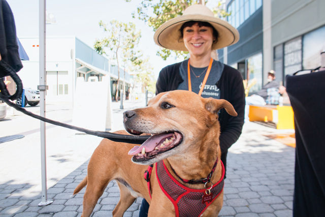 East Bay SPCA Adopt-a-thon 2019 | Faces | diablomag.com