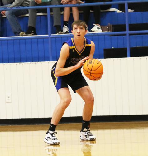 Hot night from beyond the arc helps Lions' win | Sports | djournal.com