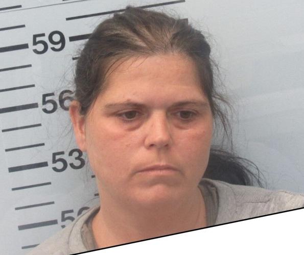 Oxford car burglaries lead to arrest of mother and son | Crime & Law ...