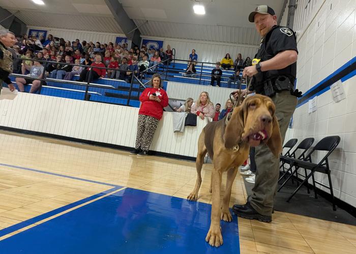 Hamilton celebrates Red Ribbon Week | News | djournal.com