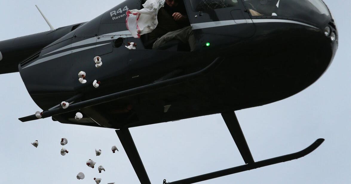Turkeys take flight | Photo Galleries | djournal.com