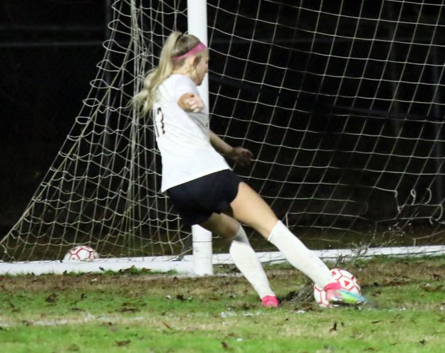 Hat Tricks: Panthers take second division win over Nettleton | Sports ...
