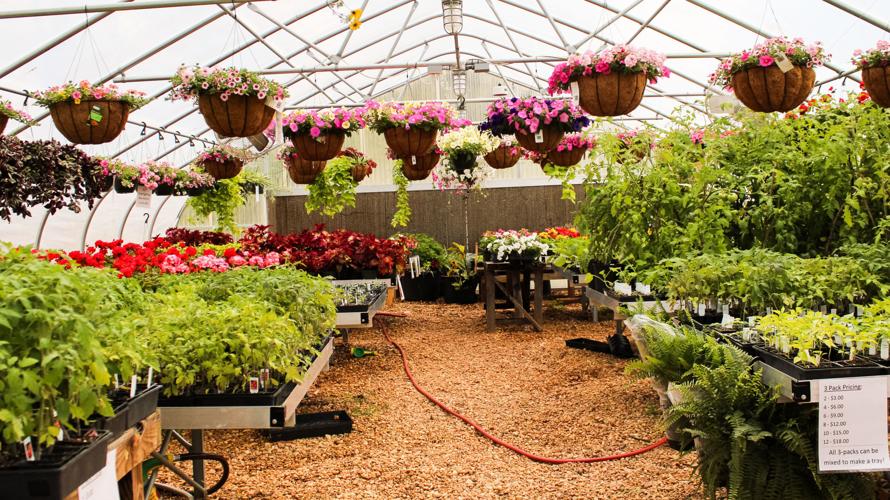 FFA greenhouses open at Mantachie and Tremont | News | djournal.com