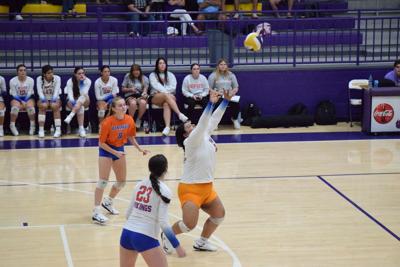 Lady Vikings drop road match to Alcorn Central | Pontotoc Progress ...