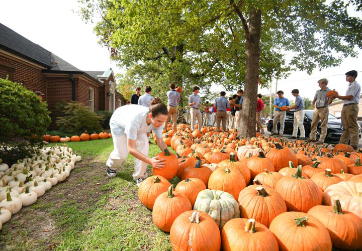St. Peter's Episcopal Church pumpkin patch is back for 31st year | Local | djournal.com