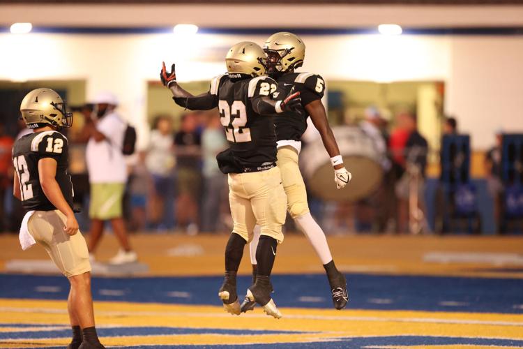 Panthers paw Tigers down at their new 'home' | Sports | djournal.com