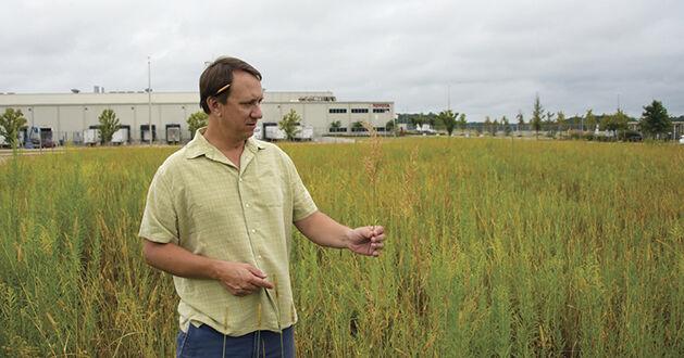 MSU landscape architect honored | | djournal.com