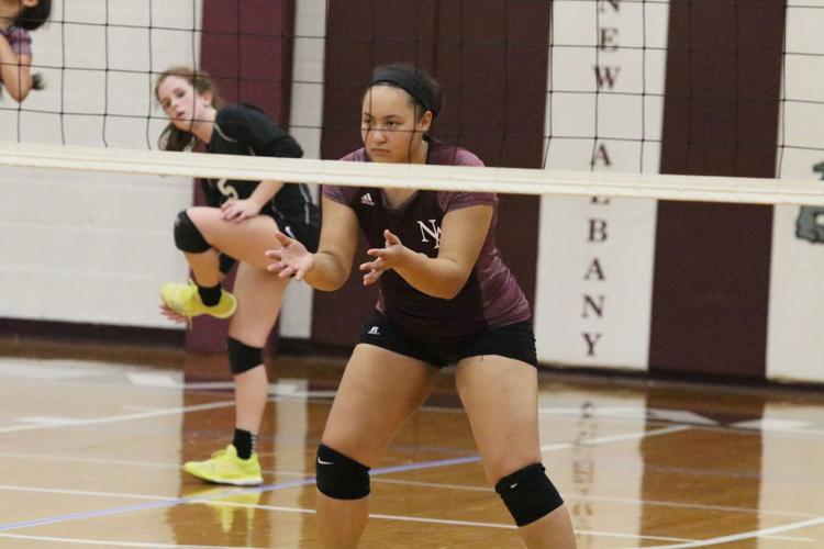 New Albany tames the Tigers in volleyball action | New Albany Gazette ...