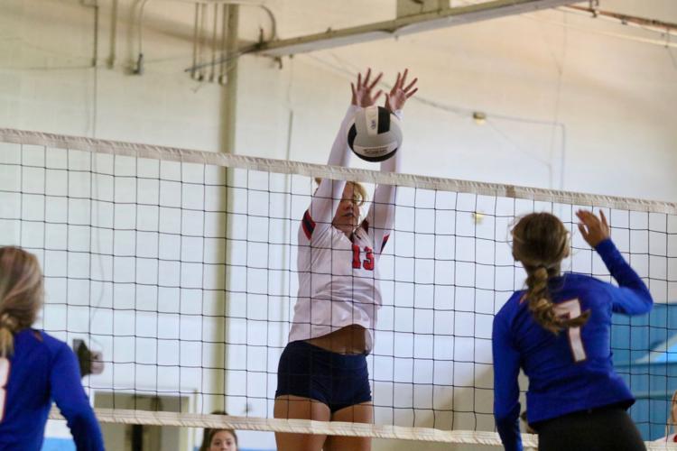 Bulldog Bash shows highs and lows for local volleyball teams | Sports ...