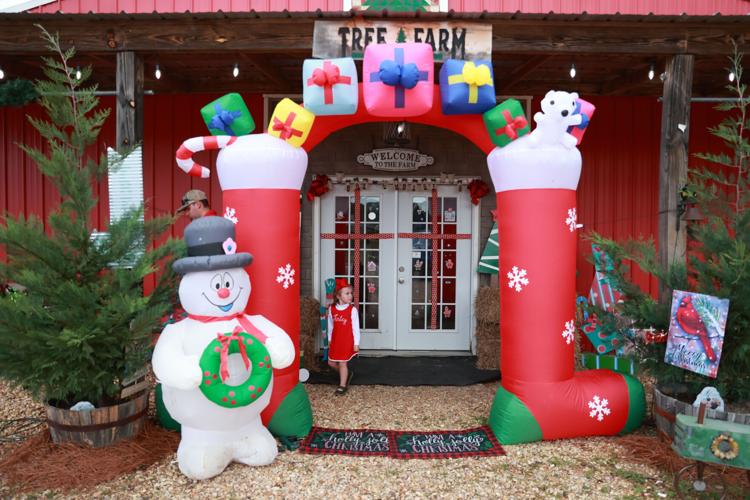 The Worthey Family’s Christmas Tree Farm grows holiday joy in Amory ...