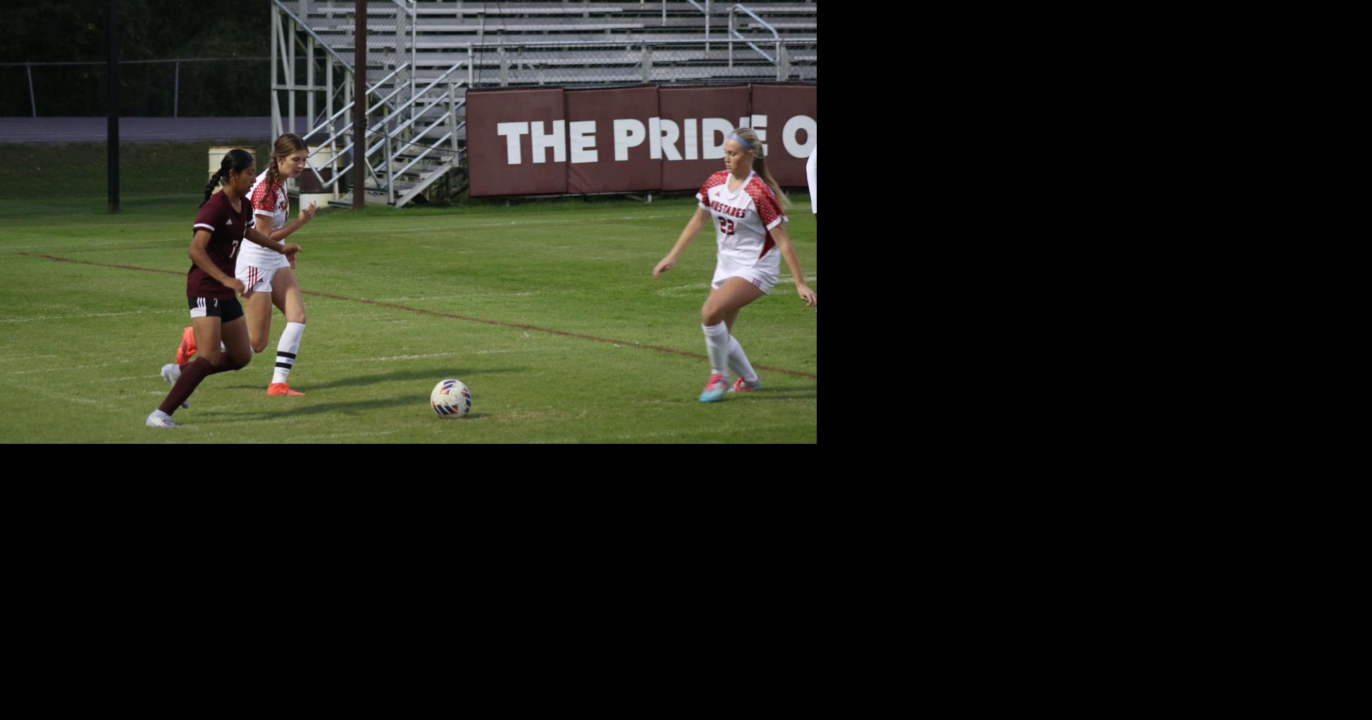 New Albany sweeps Center Hill in home opener | Sports | djournal.com