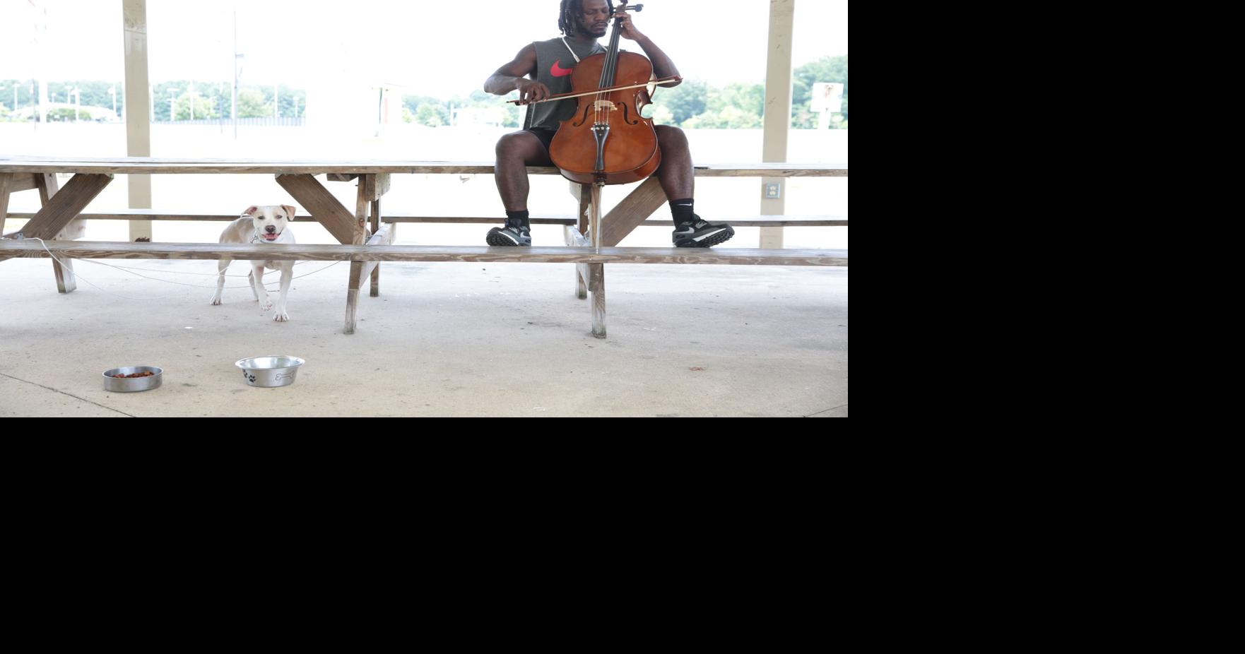 cello black man