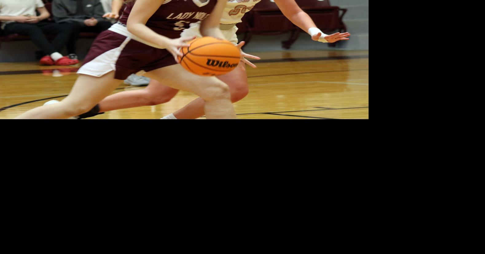 Lady Noles rally over Tremont to take third seed in Division 2-1A ...