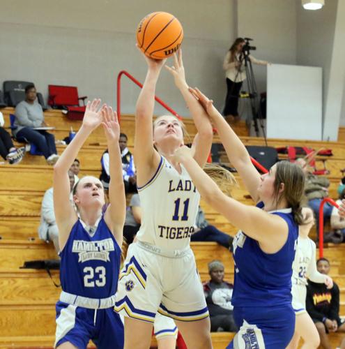 Lions secure playoff spot over Tigers in Division 1-2A Tourney | Sports ...