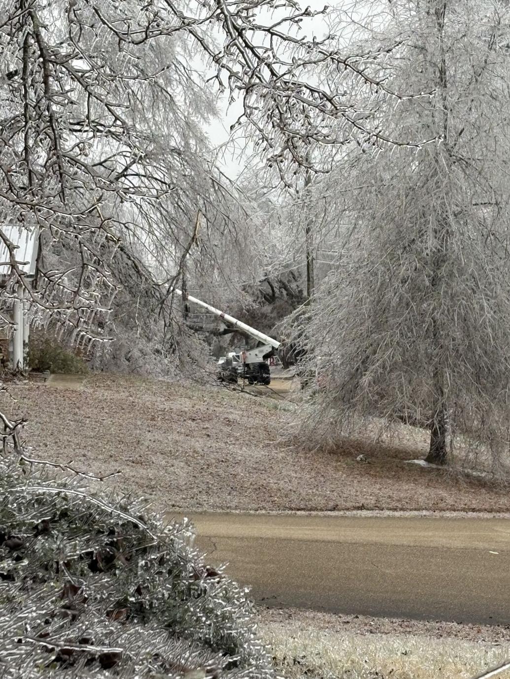 Freezing rain, falling limbs cripple electric power system throughout ...