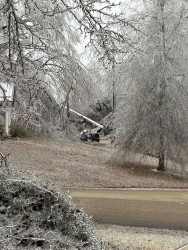 Freezing rain, falling limbs cripple electric power system throughout ...