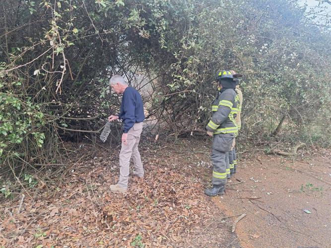 No injuries reported after vehicle damaged gas line in New Albany | New ...