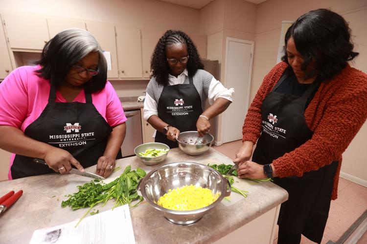 MSU Extension Service program challenges participants to learn how to ...
