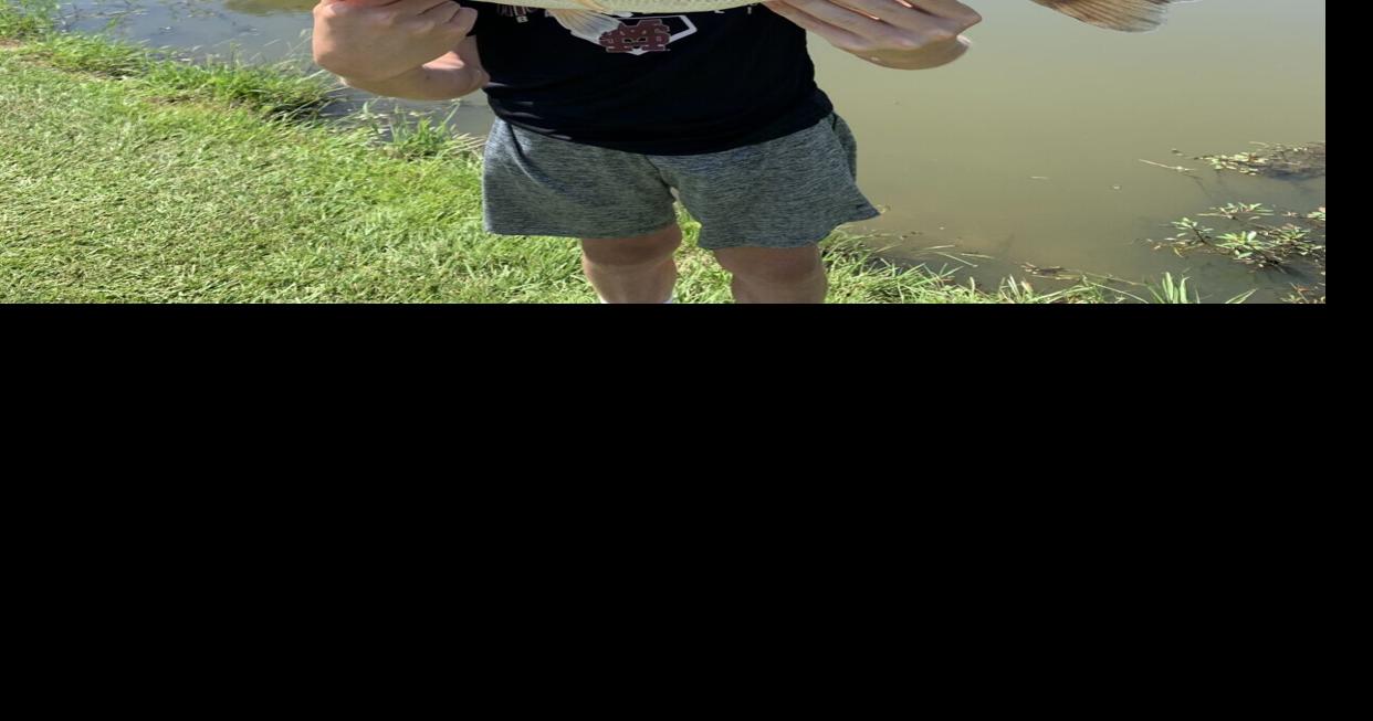 Have topwater, crankbait, Carolina rig at the ready | Outdoors ...