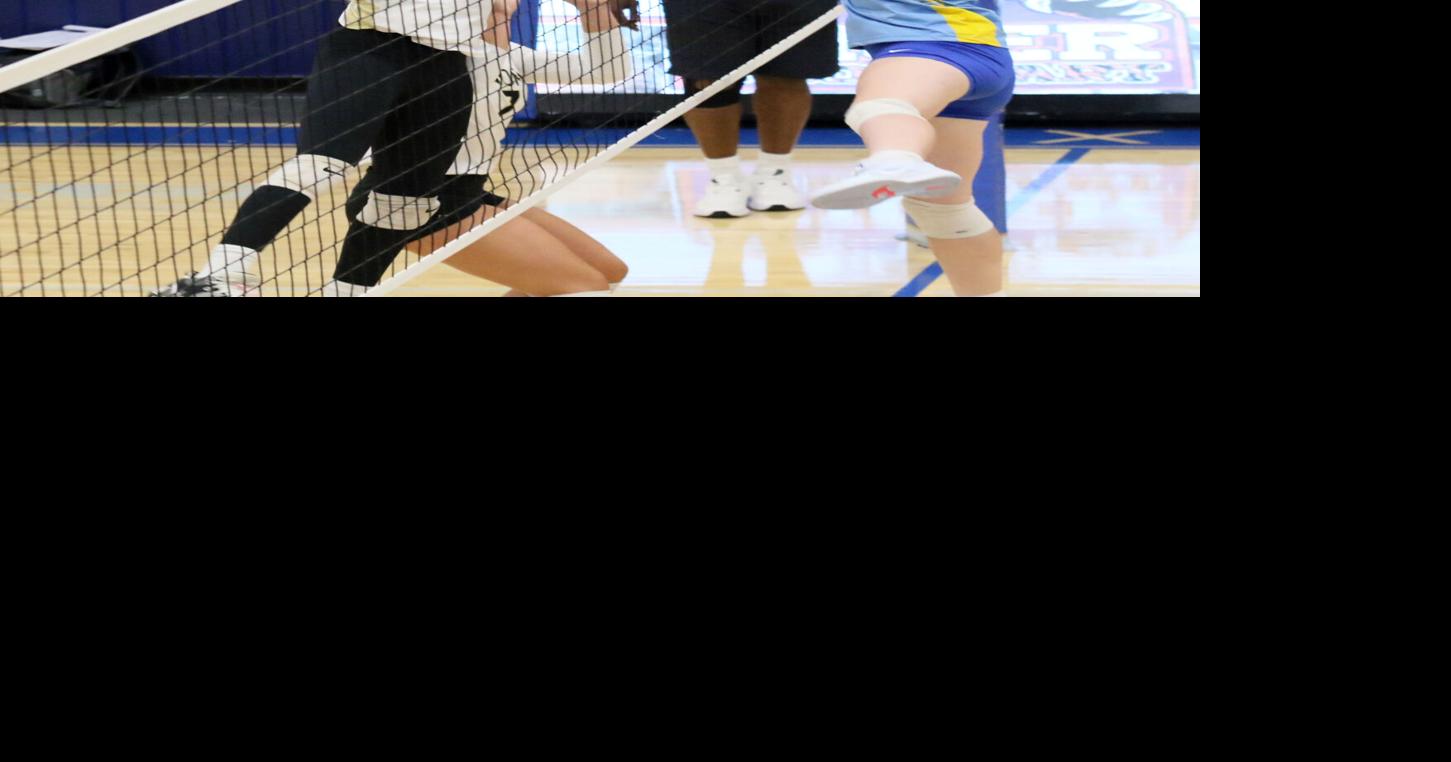 Lady Panthers upset Hatley in volleyball season opener | Sports ...