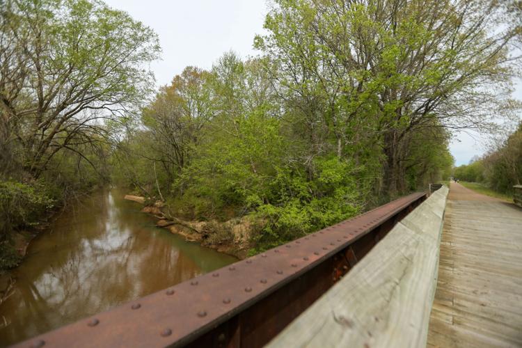 Riders from across Northeast Mississippi ride, walk the Tanglefoot ...